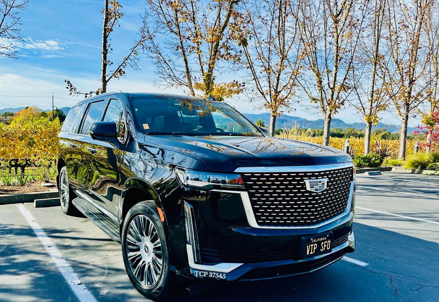 Wine Tasting Transport Napa Valley | Wine Tour Vehicles - NAPA Wine ...